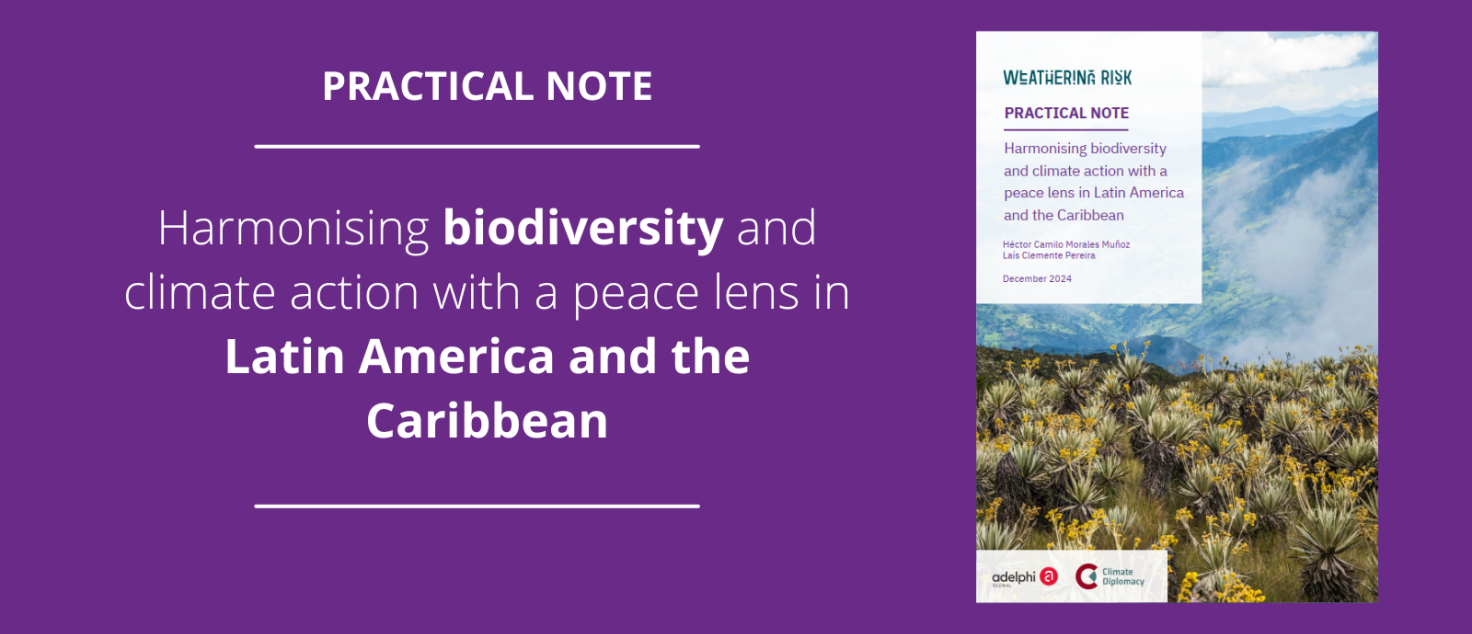 Harmonising biodiversity and climate action with a peace lens in Latin America and the Caribbean ...